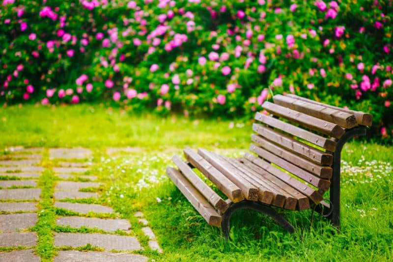 49 Outdoor Bench Ideas (Seating Pictures & Designs)