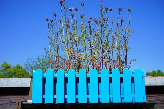 65 Beautiful Flower Box Ideas (Pictures)