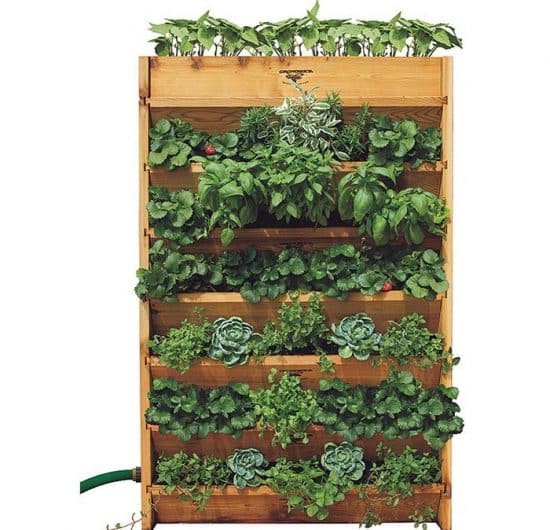 47 Best Vertical Garden Ideas (Planters & DIY Kits)