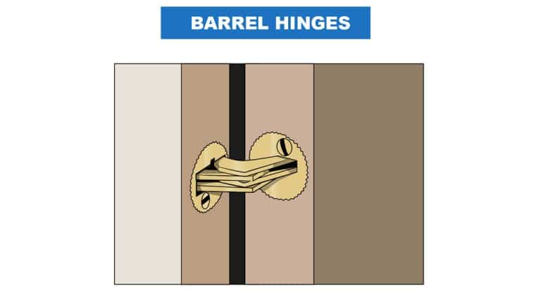 19 Types of Kitchen Cabinet Hinges (Design Guide)