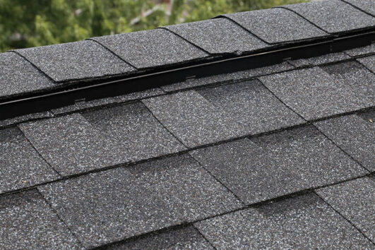 Roof Ridge Vent (Pros and Cons & Design Guide)