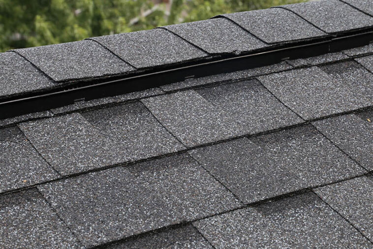 Roof Ridge Vent Pros And Cons And Design Guide