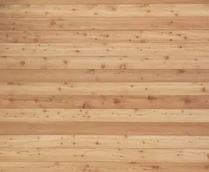 Exterior Wood Siding Types (Best Design Options) - Designing Idea