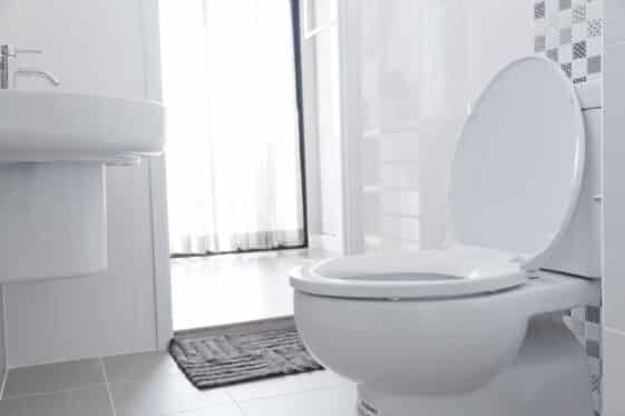 Types Of Toilet Seats (Shapes & Materials Guide)