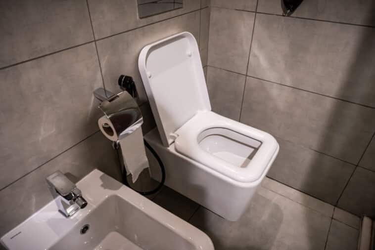 Types Of Toilet Seats (Shapes & Materials Guide)