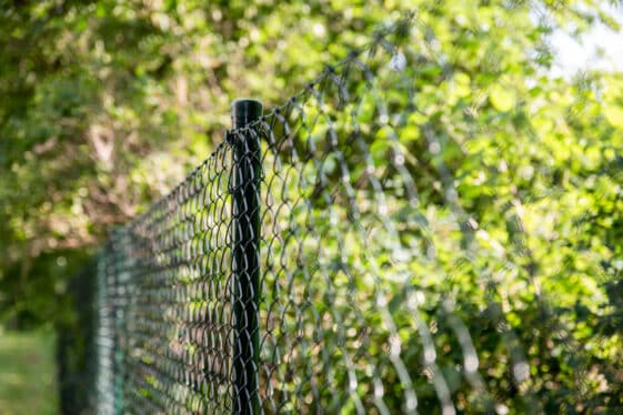 Types of Wire Fences (Materials & Designs)