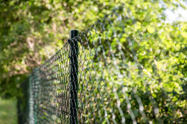 Types of Wire Fences (Materials & Designs)