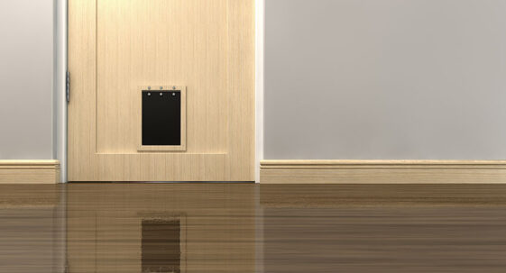 Dog Door Sizes (Dimensions & Measurement Guide)