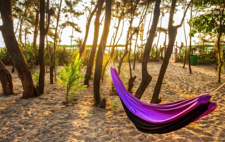 Types of Hammocks (Ultimate Buying Guide)