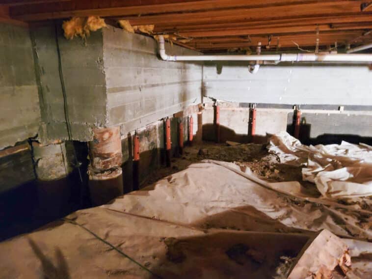 Mold In Crawl Spaces (Causes, Prevention & Removal Tips) - Designing Idea