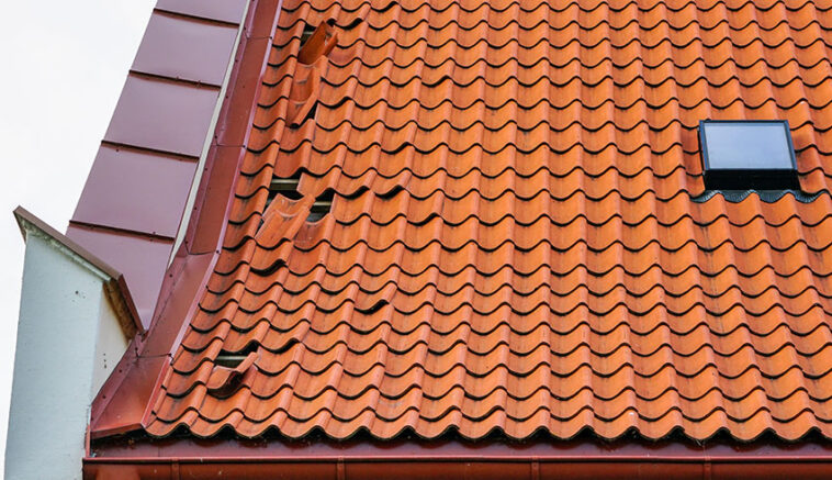 Guide to Identifying Types of Roof Damage and Inspection Tips
