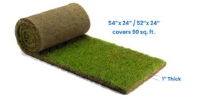 What Are The Standard Dimensions for Sod? Pieces, Slabs And Rolls
