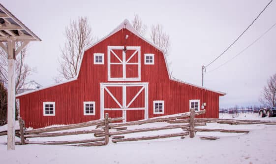 17 Types Of Barns (Construction & Roof Designs)