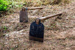 19 Types Of Garden Hoes (Designs & Uses)