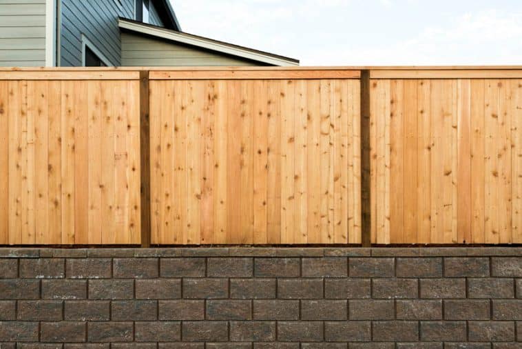 Pressure Treated Fence (Designs & Pros and Cons)