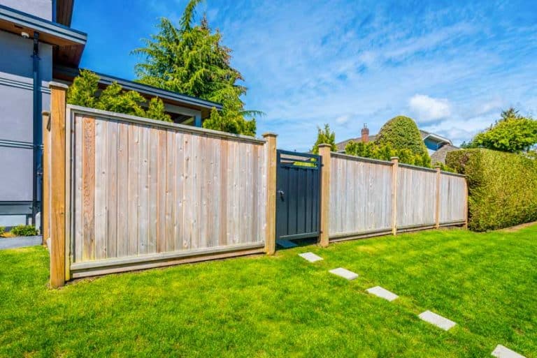Pressure Treated Fence (Designs & Pros and Cons)