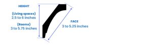 Crown Molding Sizes (Styles & Dimensions Guide)