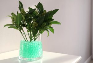 How to Use Different Vase Filler Ideas To Enhance Your Home