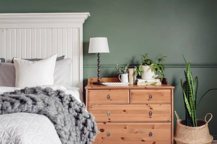 Alder Wood Furniture Explained (Types & Durability)