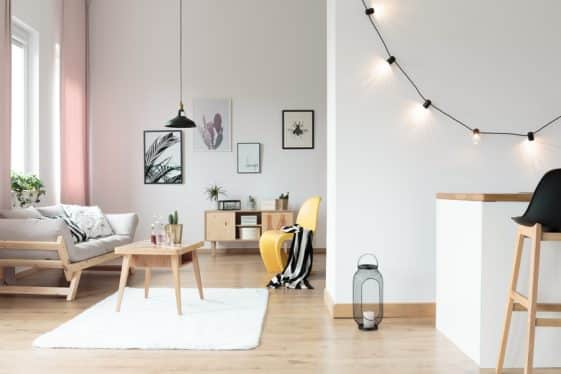 The Timeless Appeal Of Birch Wood Furniture: Uses, Colors & Durability