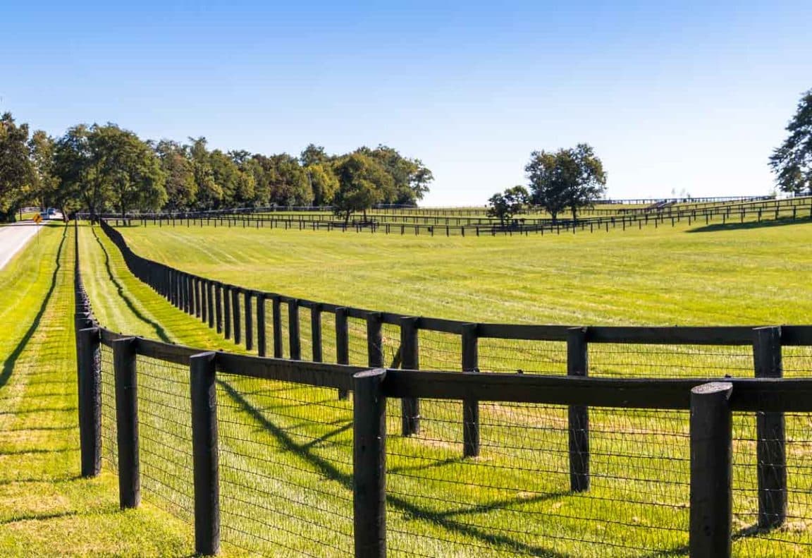 California Style Fence (Materials & Building Tips)