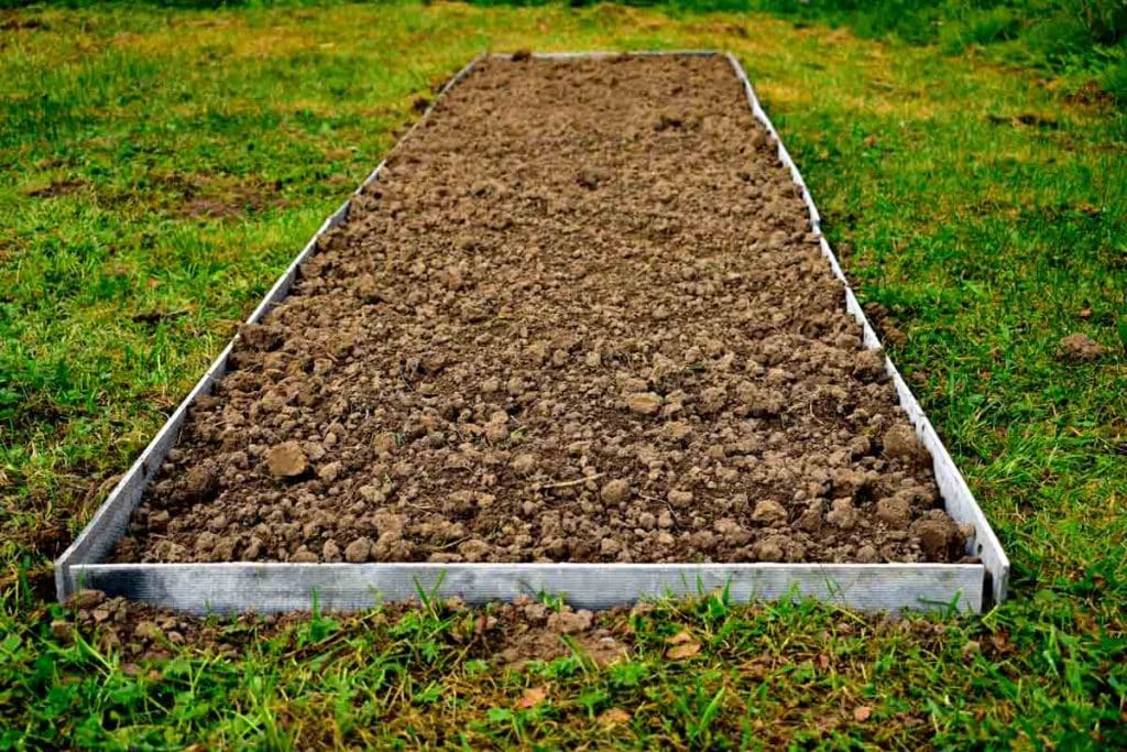 15 Dog Friendly Backyard Ideas With No Grass