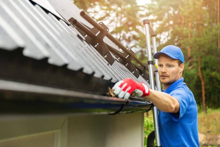 How to Measure for Gutter Guards (Types & Steps Needed)